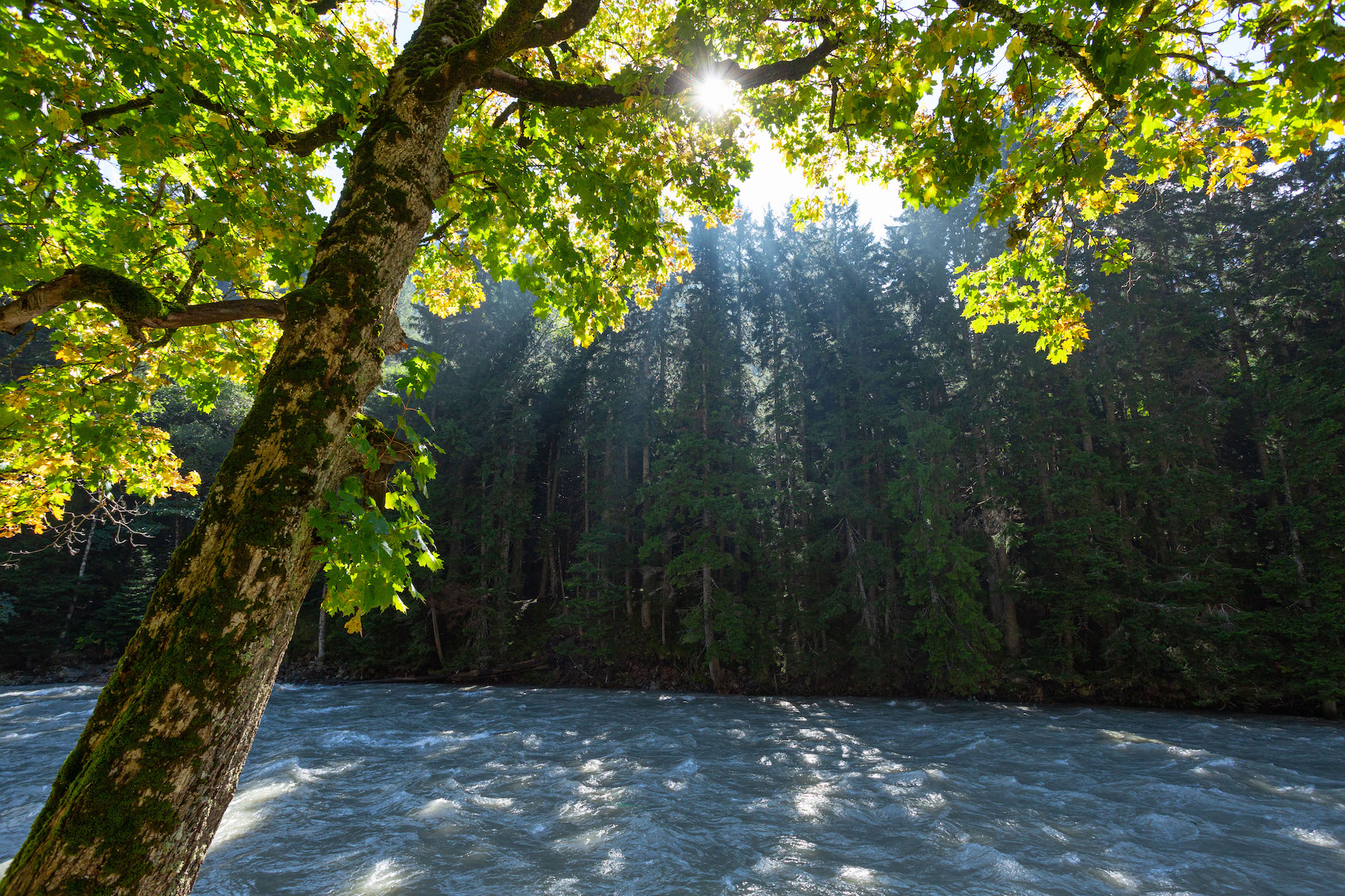 МИРРОС AXIS-RIVER Отель Архыз - Фотогалерея